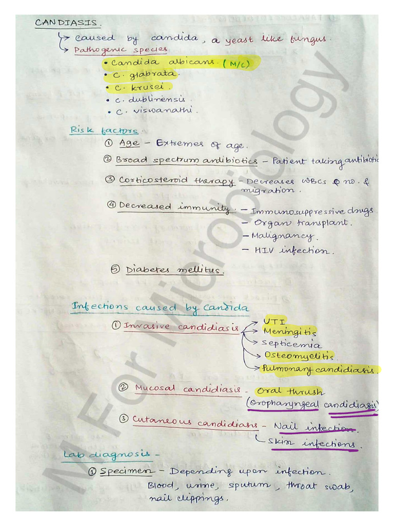 Candidiasis | PDF