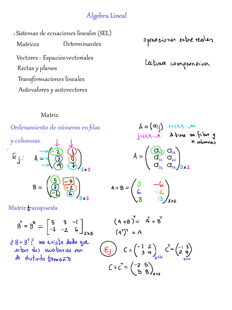 ALin Sesion1 MZ 6 2025 | PDF