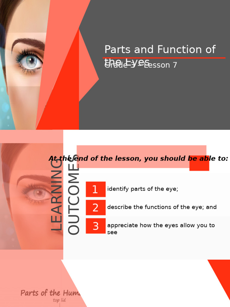 Parts and Functions of the Eye for Grade 3 | PDF | Eye | Human Eye