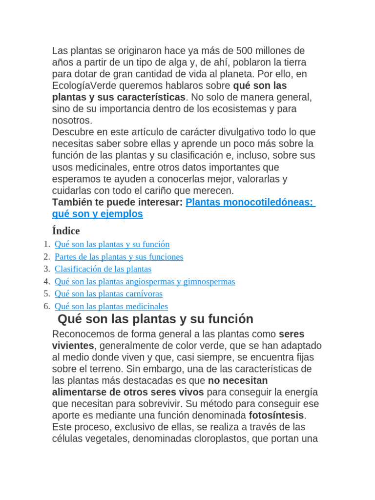 Funciones y clasificación de las plantas | PDF | Plantas | Raíz