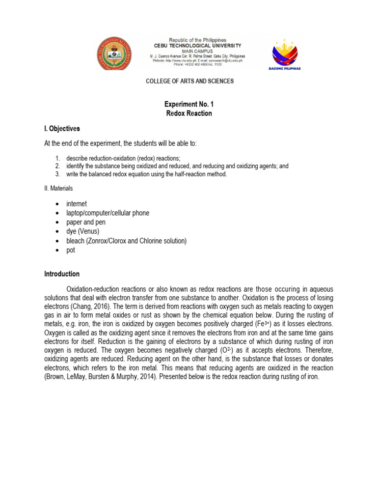 EChem Lab Redox Experiment | PDF | Redox | Chemical Process Engineering