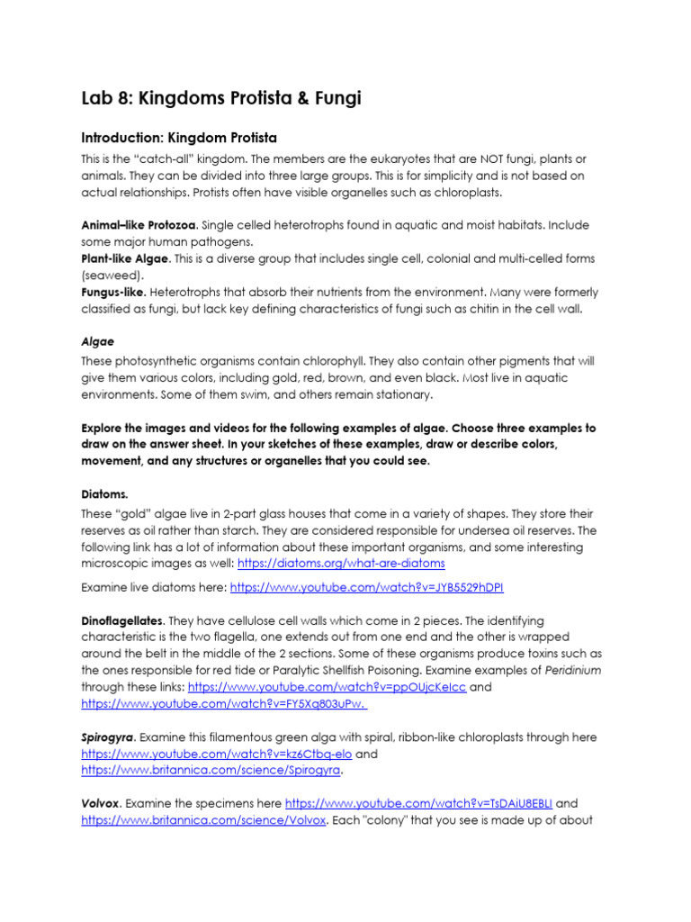 Lab 8 - Kingdom Protista and Fungi (Virtual) | PDF | Fungus | Sexual ...