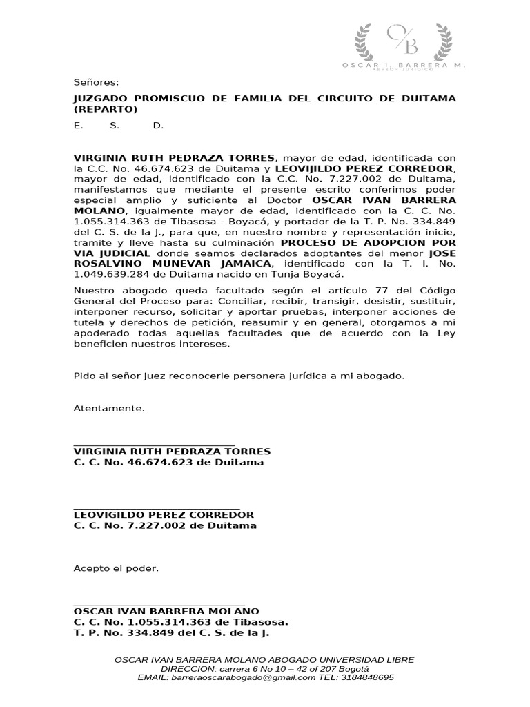 Poder Demanda de Adopcion | PDF