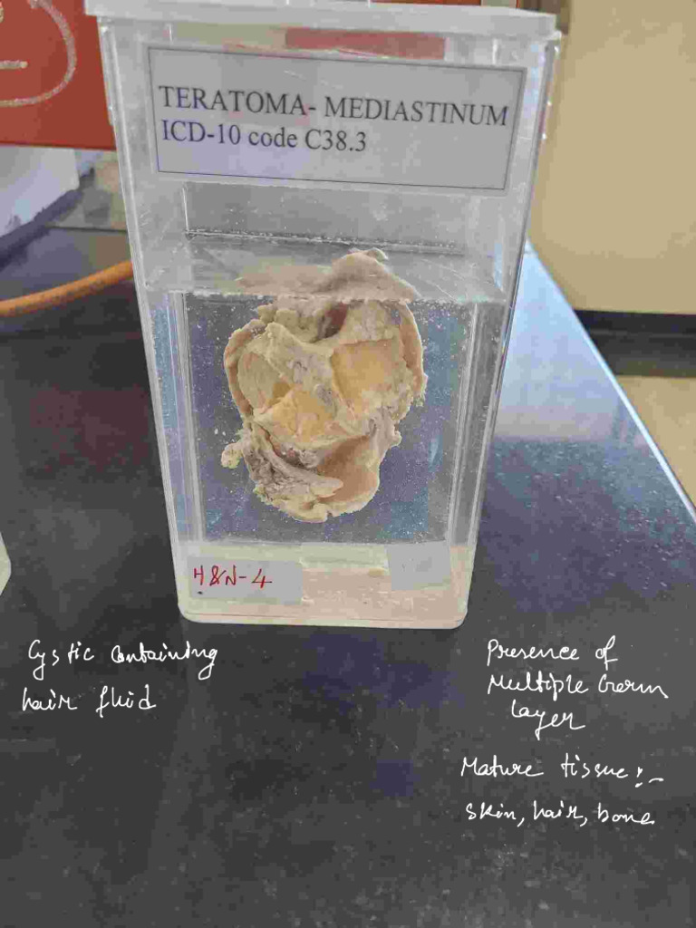 Gross Specimen Pathology Buu Pdf