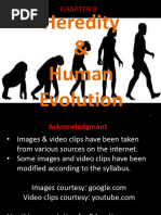 Class 10 Heredity | PDF | Dominance (Genetics) | Genetics