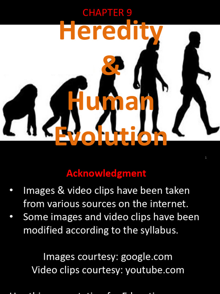 10 Science CHP 9 Heredity PPT STF | PDF | Sex | Dominance (Genetics)