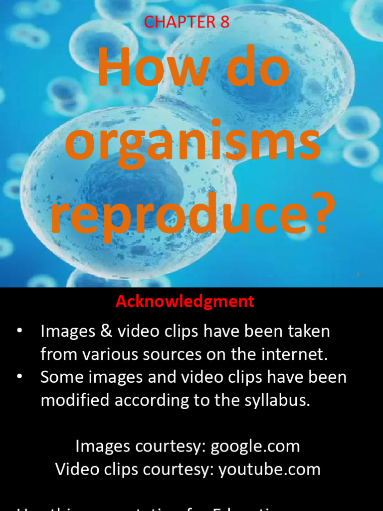 10 Science CHP 8 Reproduction PPT STF | PDF | Flowers | Reproductive System