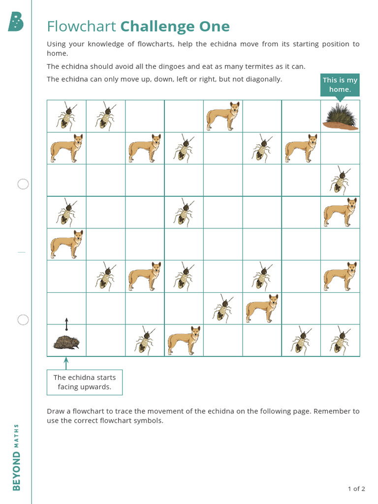 Echidna Flowchart Challenge Guide | PDF