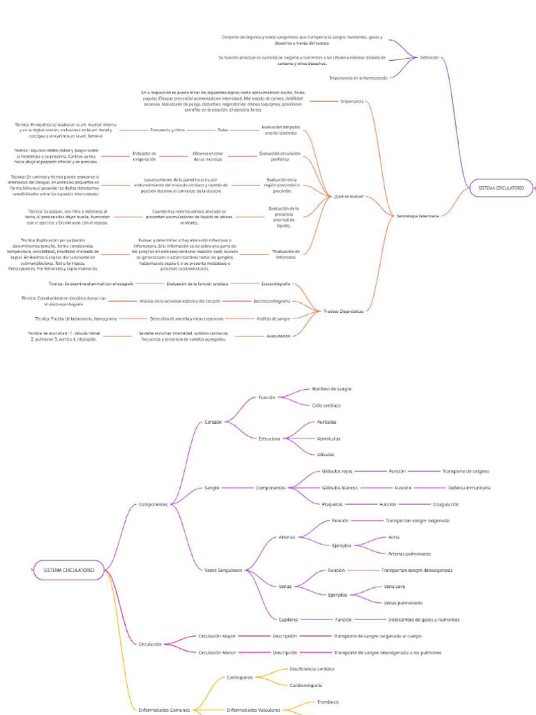 Mapas Mentale de Semio | PDF