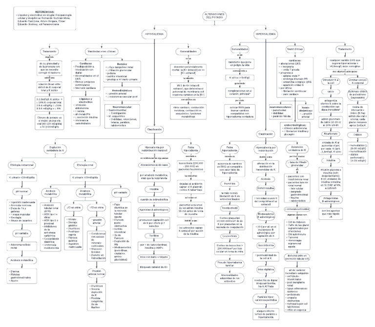 Mapa Conceptual - Alteraciones de Electrolitos (Potasio) | PDF | Potasio | Química