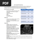 Protocolo Blue | PDF | Enfermedades y trastornos | Neumología