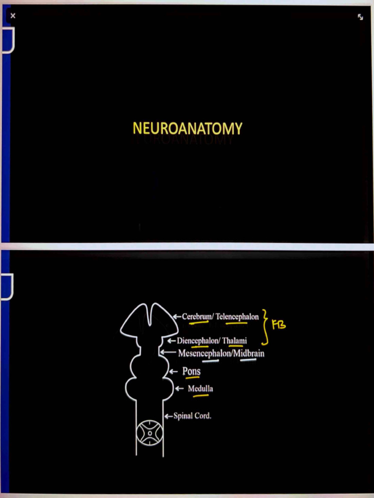 Anat LLR Dec 24 | PDF