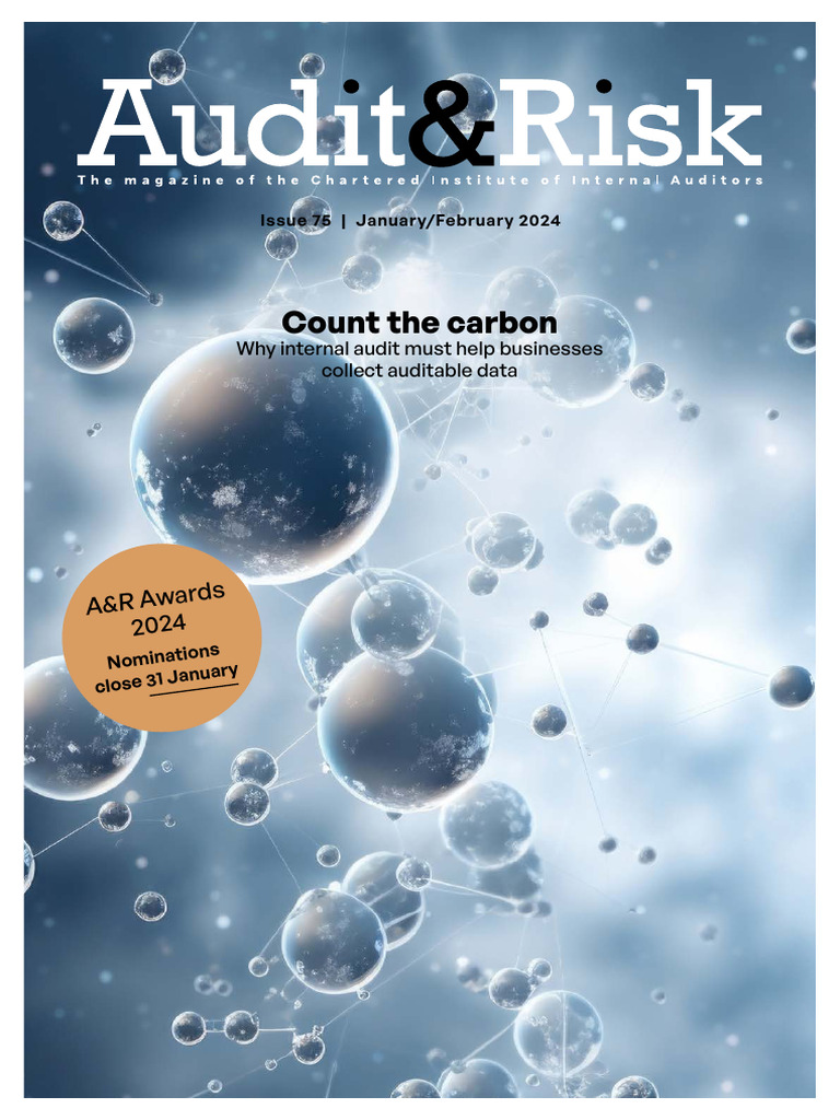 Internal Audit for Sustainability Data | PDF | Internal Audit | Audit
