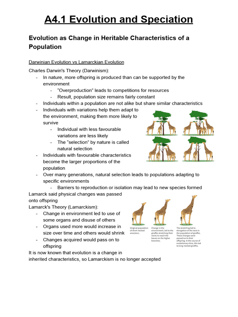 A4.1 Evolution and Speciation | PDF | Evolution | Natural Selection