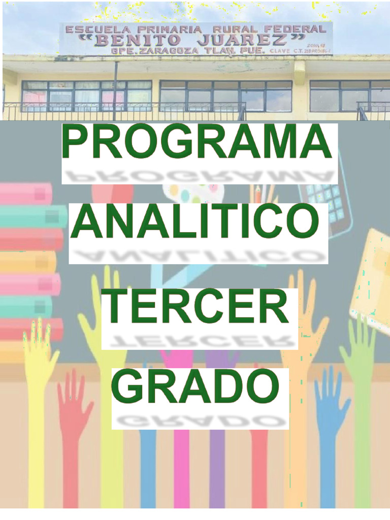 Programa Analitico2 | PDF | Enseñando | Educación primaria
