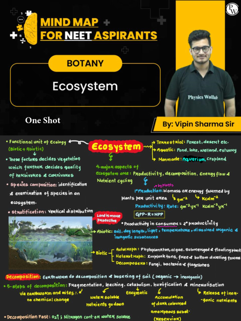 Ecosystem (One Shot) - Class Notes - NEET Mind Map | PDF
