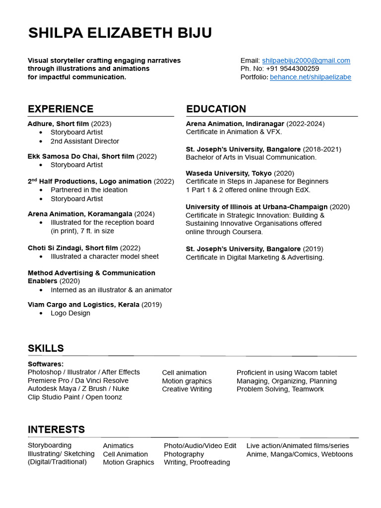 Visual Storyteller: Animation & Design Expert | PDF
