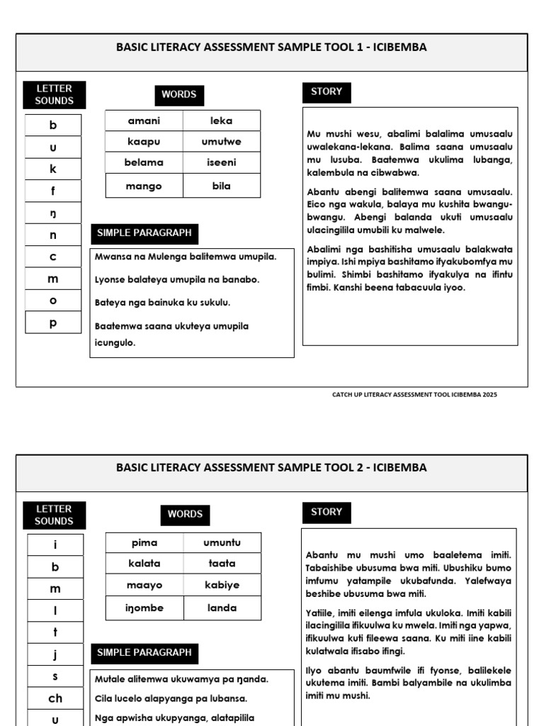 LITERACY ICIBEMBA ASSESSMENT TOOL 1,2, and 3 2025 | PDF | Pedagogy ...