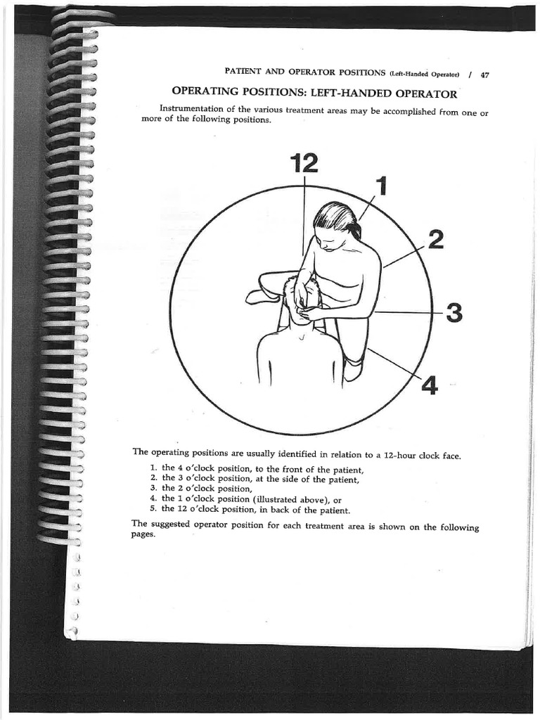 Sitting Positions | PDF