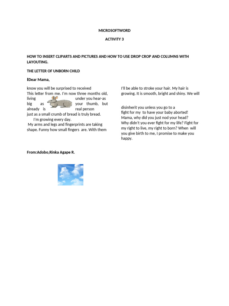 Activity 3 Adobo | PDF