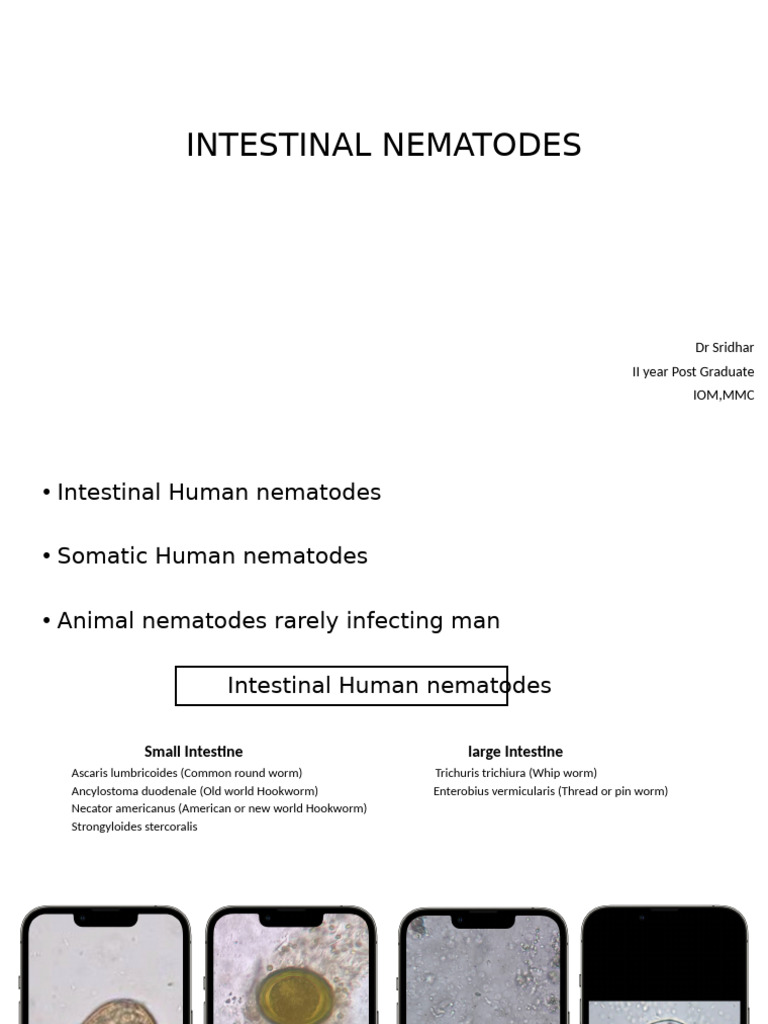 Intestinal Nematodes: Types & Effects | PDF | Medical Specialties ...