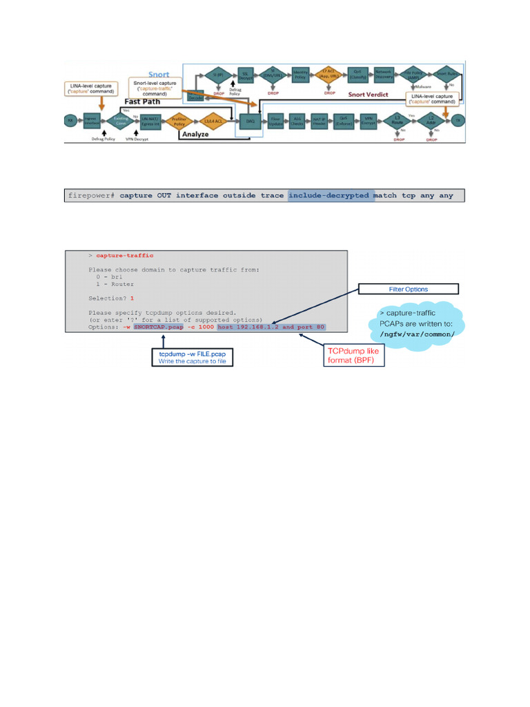 Traffic Capture | PDF