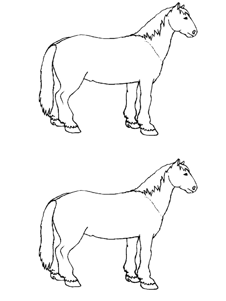 Calul | PDF