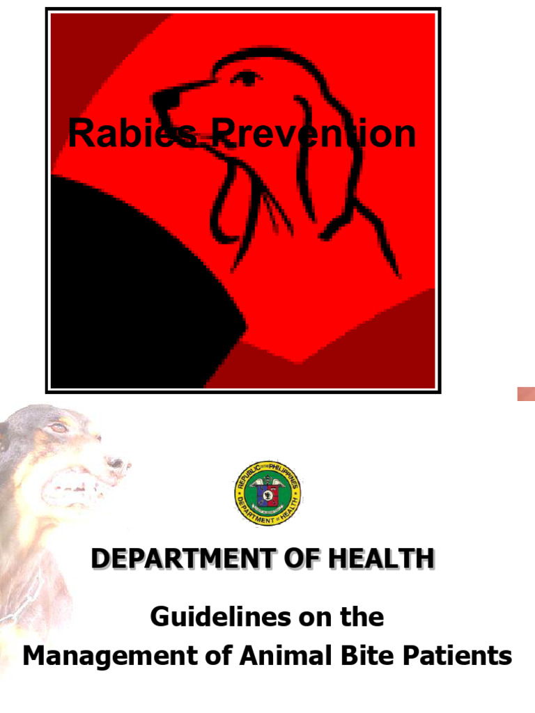 Rabies Prevention and Management Guidelines | PDF | Rabies | Vaccines