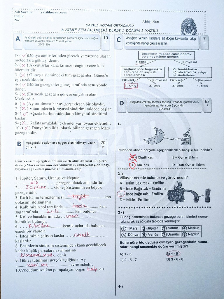 yazilihocam.com------CEVAPLAR---------6.SINIF FEN 1.DÖNEM 1.YAZILI SORULARI-1 | PDF
