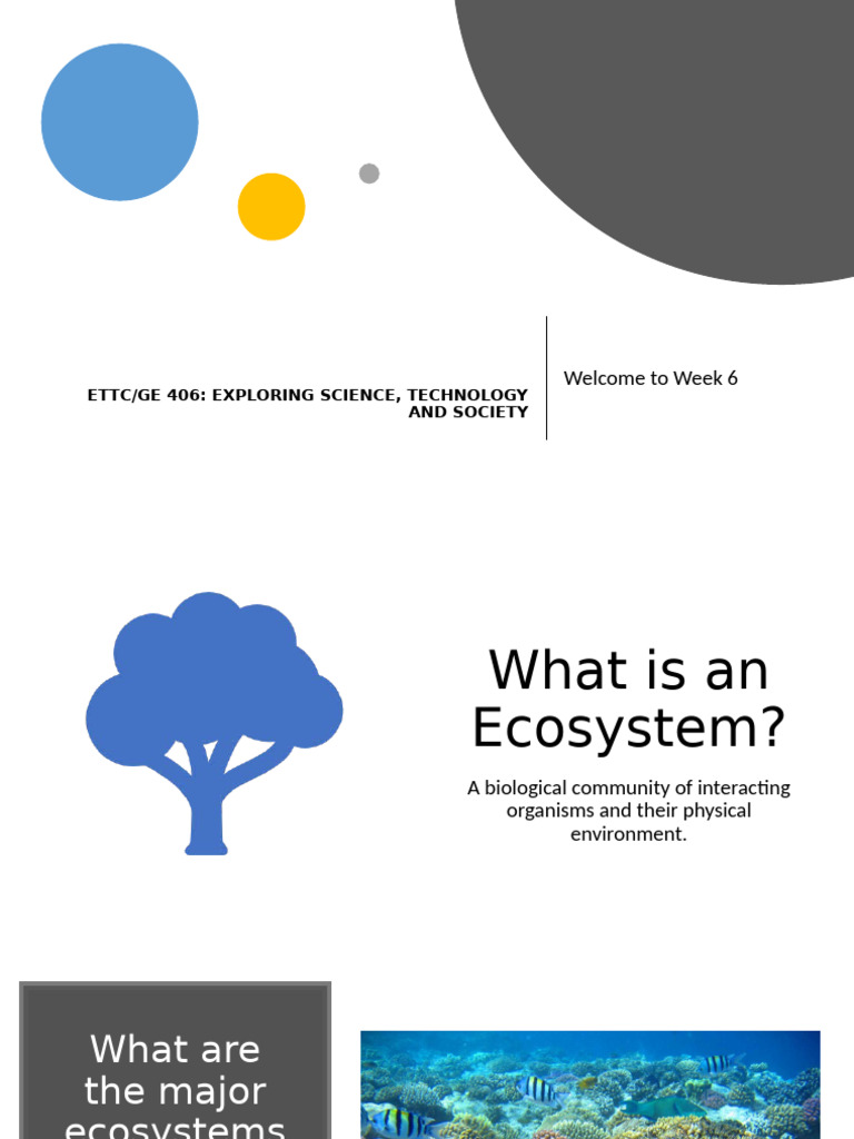 Importance of Caribbean Ecosystems | PDF | Coral Reef | Coast