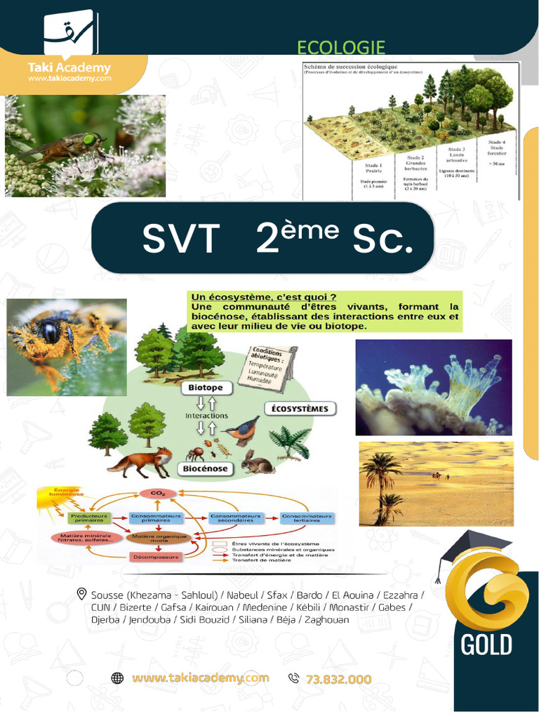 Adaptations des Végétaux aux Milieux Arides | PDF | Plantes | Feuille