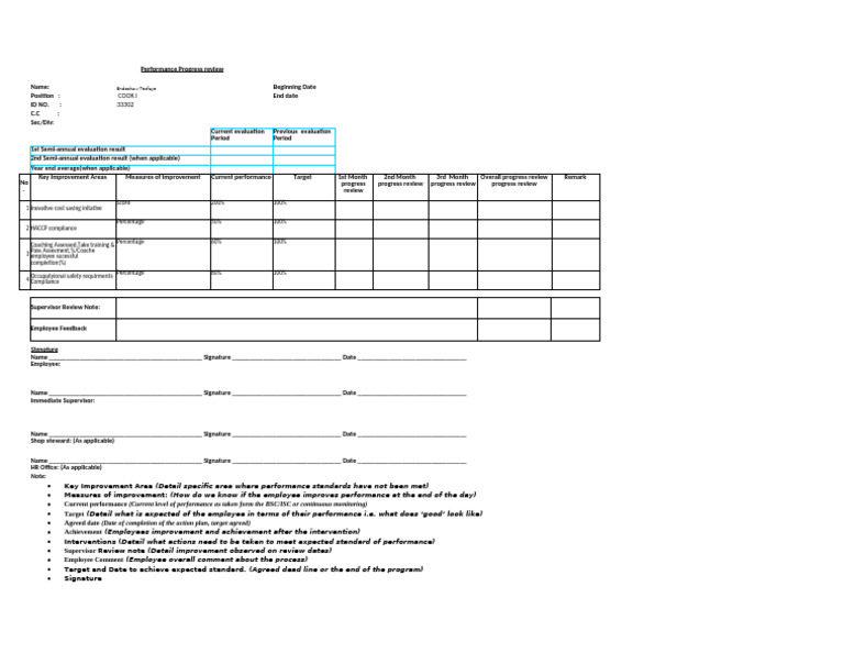2 PIP Progress Review Template | PDF | Business