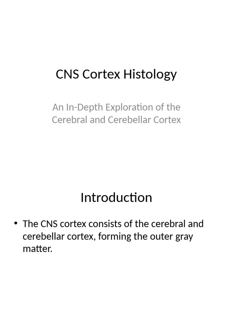 CNS Cortex Histology Full | PDF | Cerebral Cortex | Cerebellum