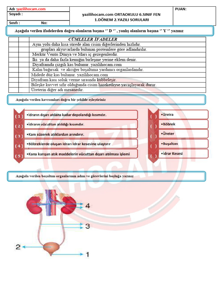 6.sinif Fen 1.dönem 2.yazili Sorulari - 3 | PDF