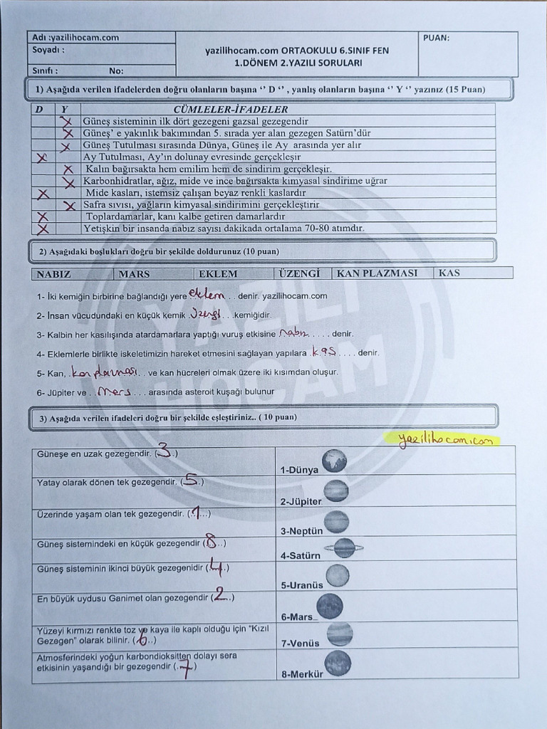 Cevaplar - 6.sinif Fen 1.dönem 2.yazili Sorulari - 2 | PDF