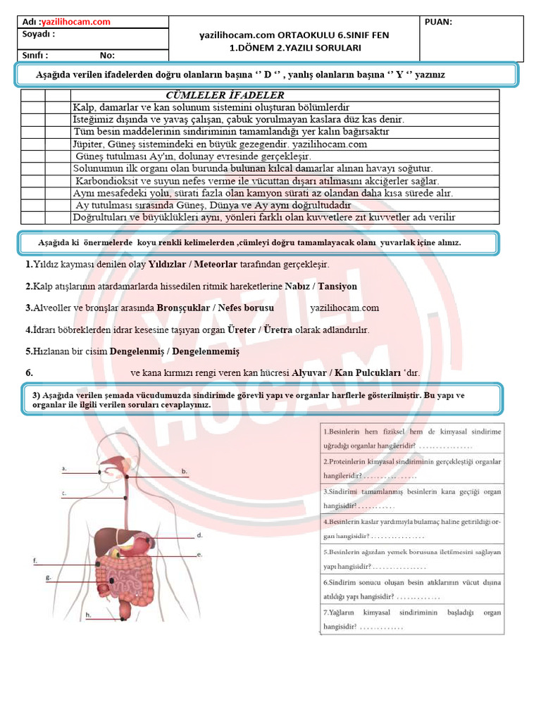 6.sinif Fen 1.dönem 2.yazili Sorulari - 1 | PDF