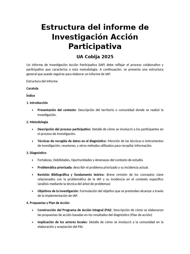 Iap Estructura Informe | PDF | Investigación de acción participativa