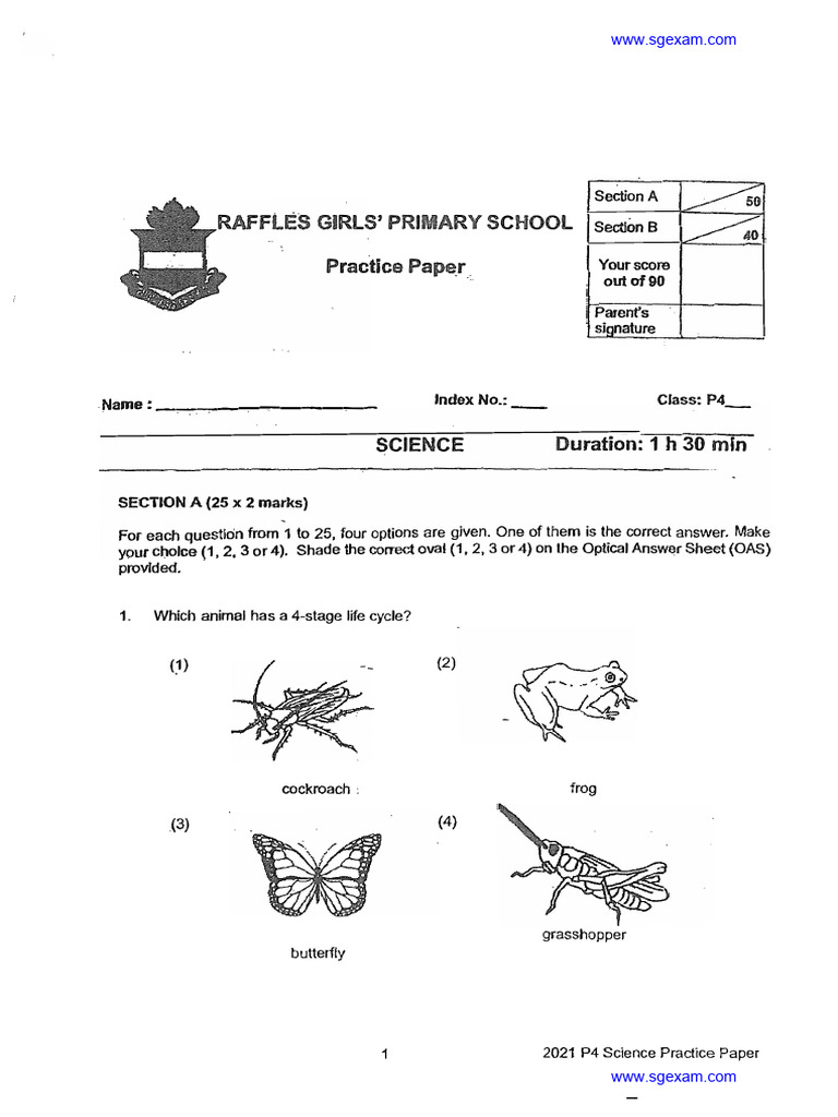 2023 P4 Science Practice Paper Raffles | PDF | Leaf | Applied And ...