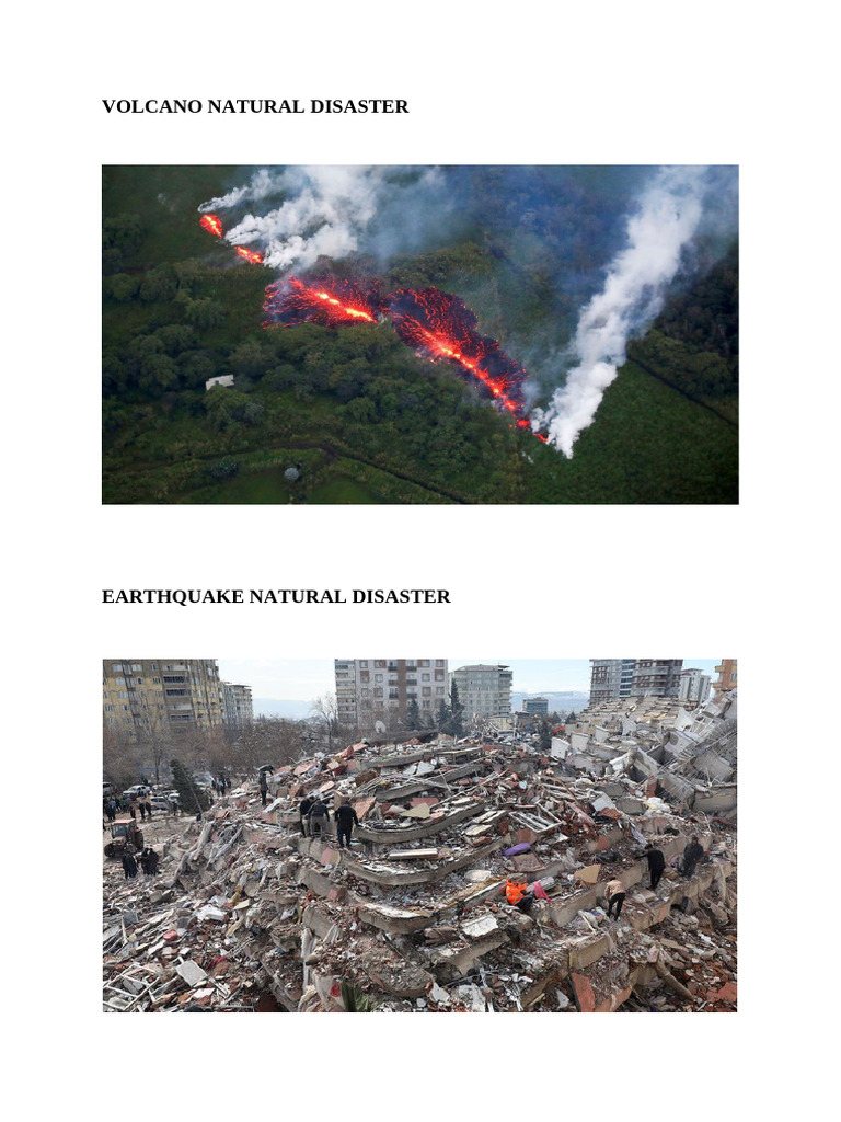 Natural Disaster | PDF