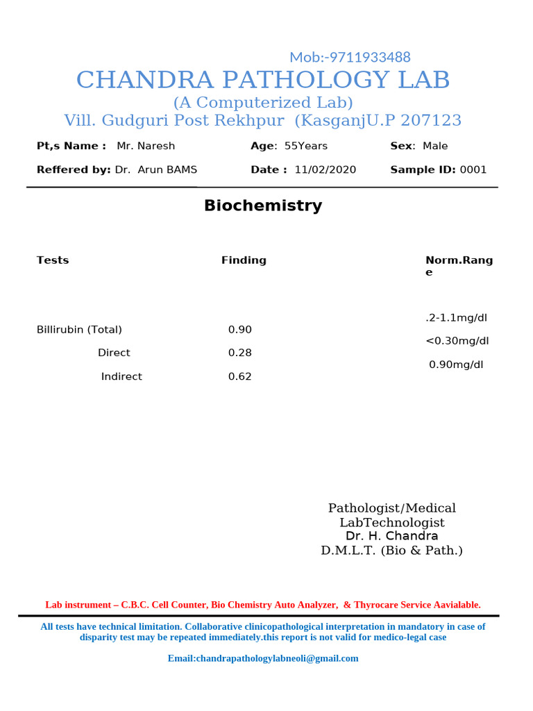Bilirubin Test Results for Mr. Naresh | PDF
