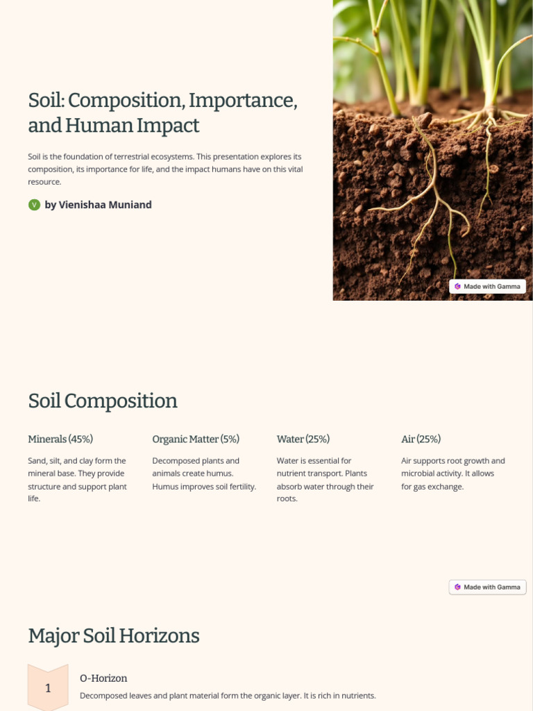 Soil Composition and Human Impact Analysis | PDF | Soil | Organic Matter