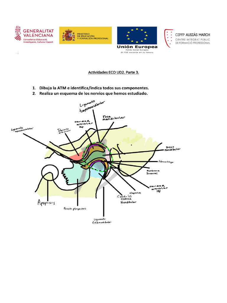 Actividades ECO UD2 Parte 3 | PDF