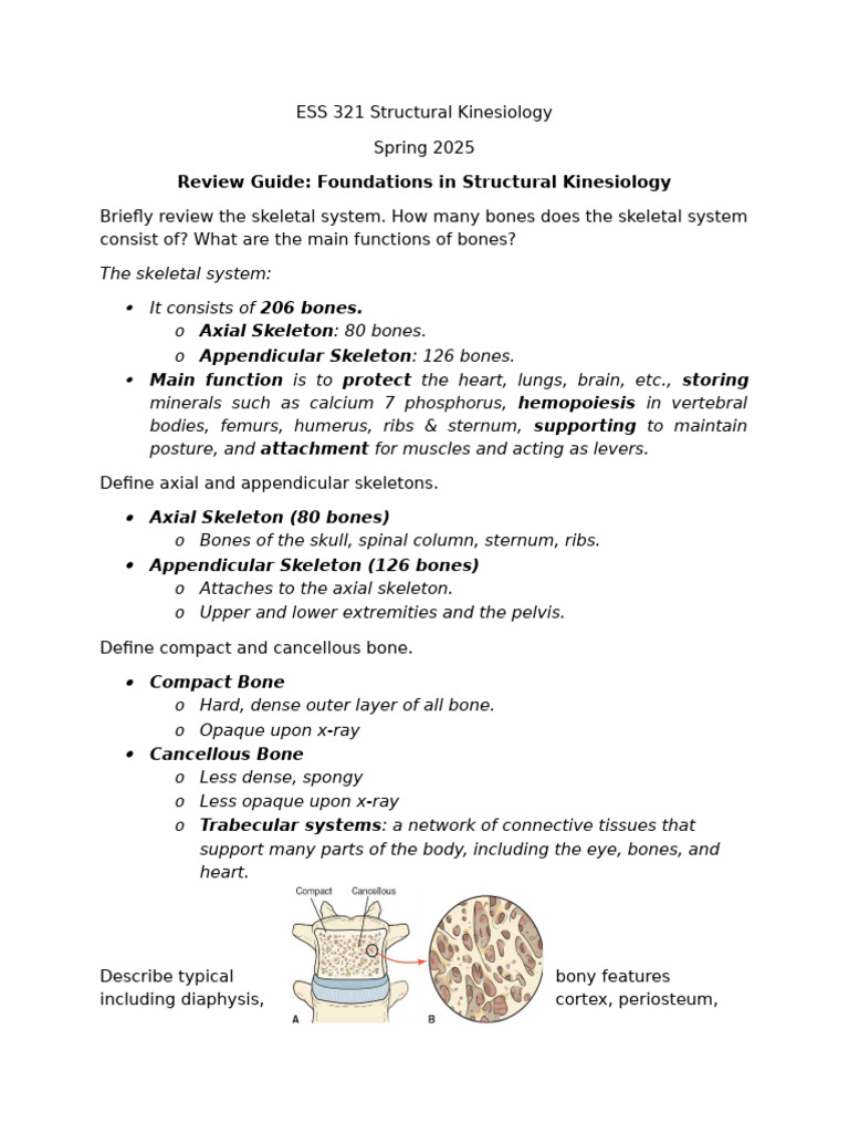 ESS 321 Structural Kinesiology | PDF | Anatomical Terms Of Motion ...
