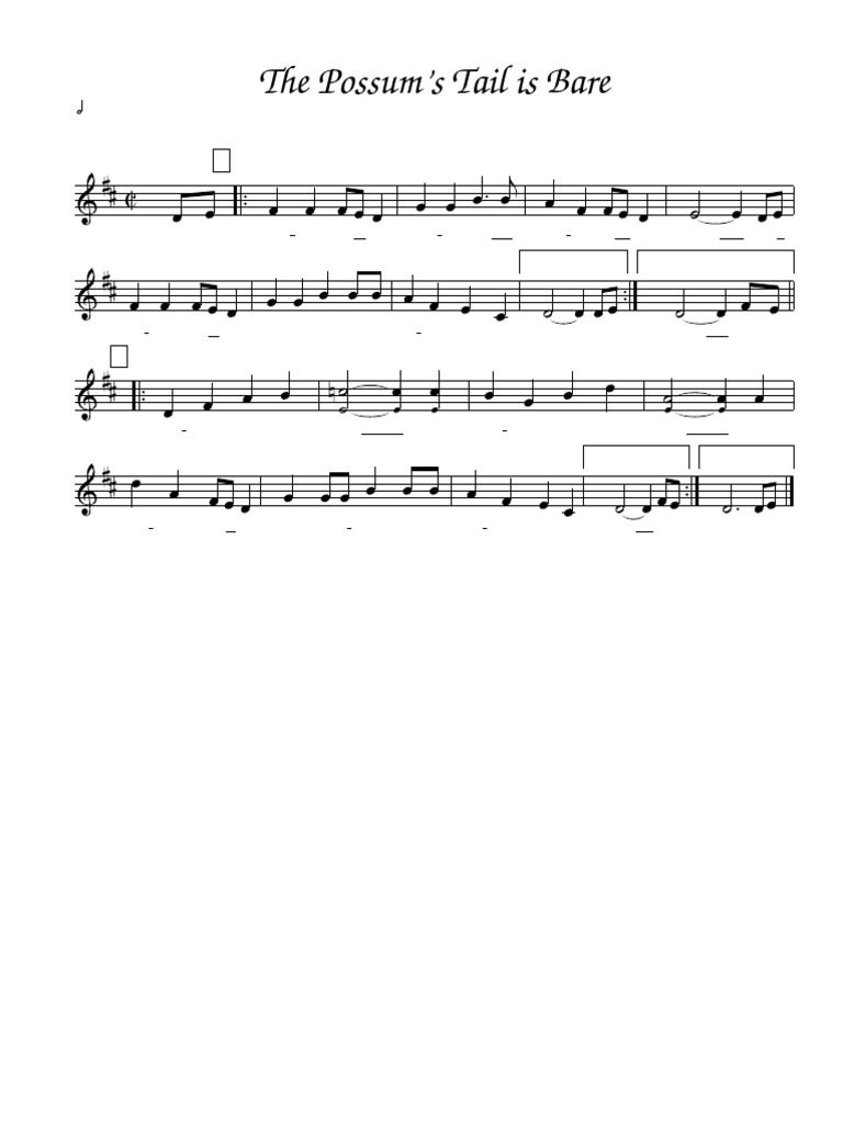 Possums Tail Is Bare | PDF | Mammals Of North America