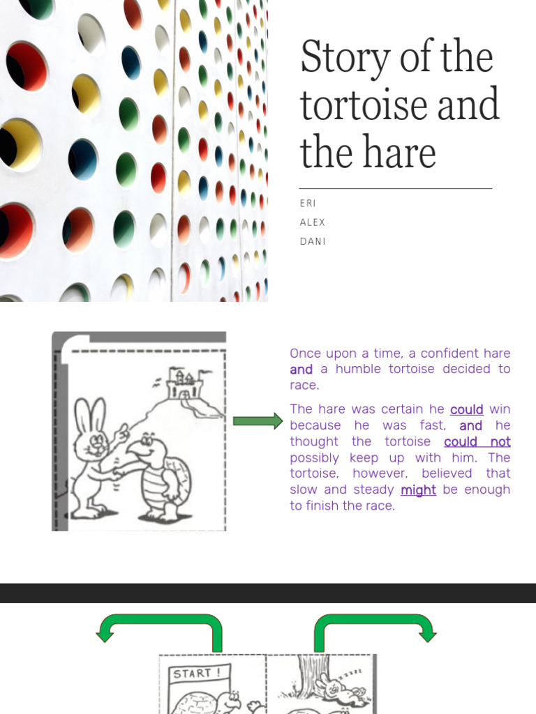 Tortoise and Hare Race Story | PDF