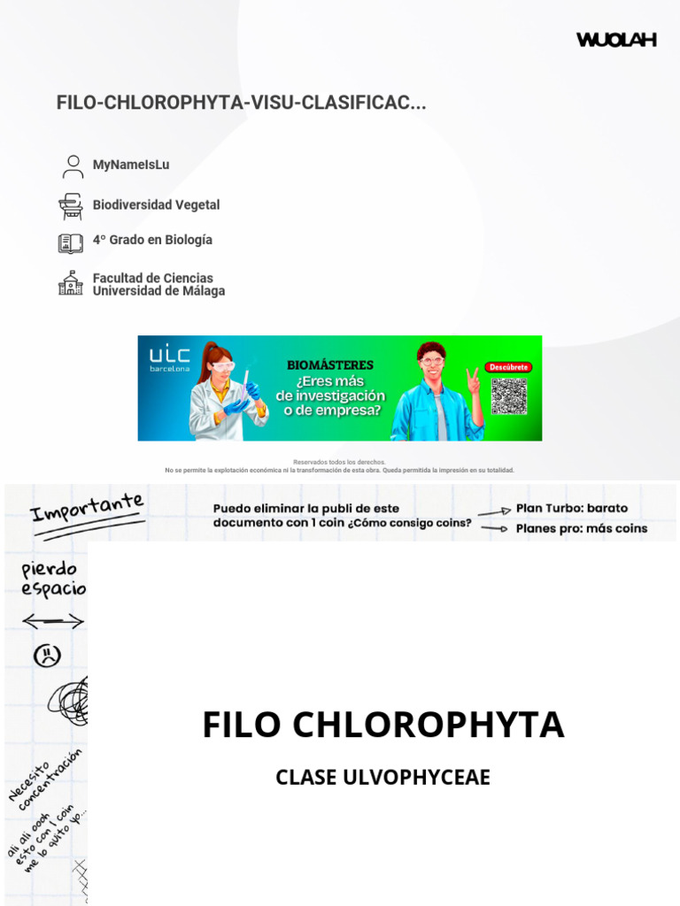 Wuolah Free FILO CHLOROPHYTA VISU CLASIFICACION | PDF | Biología ...