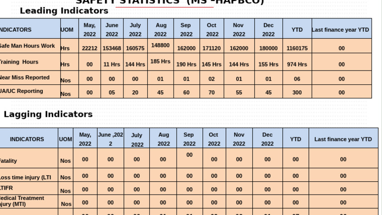 Safety Statistics (MS HAPBCO) | PDF