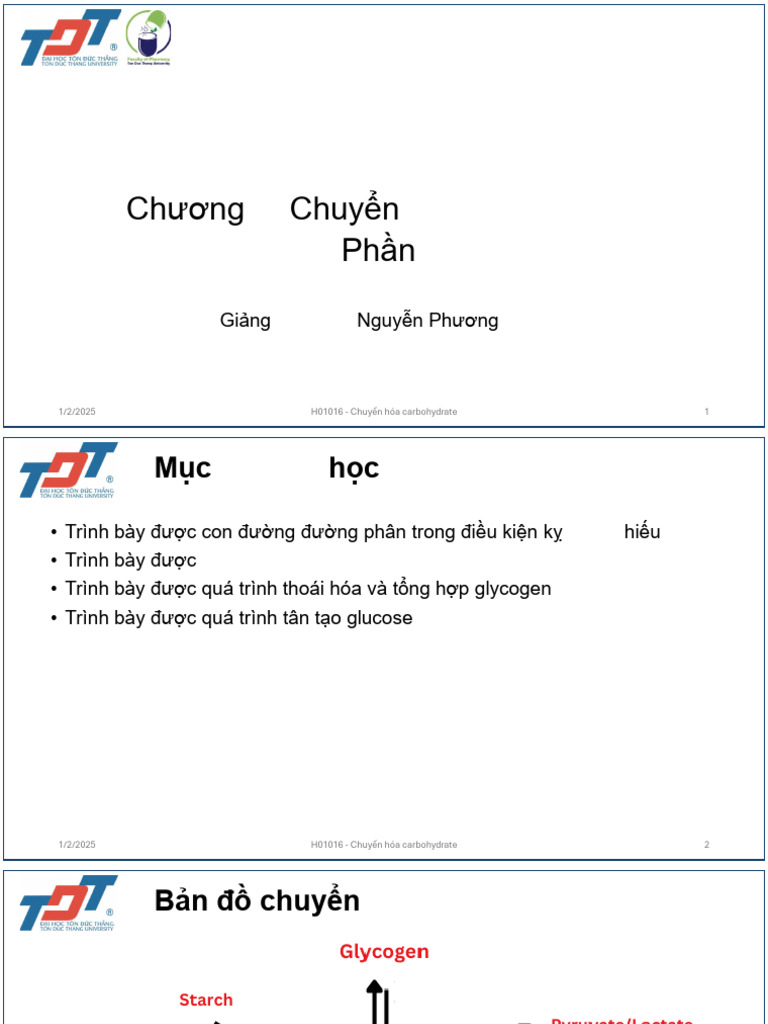 Chương 8 Chuyển Hóa Carbohydrate - Student Handout | PDF