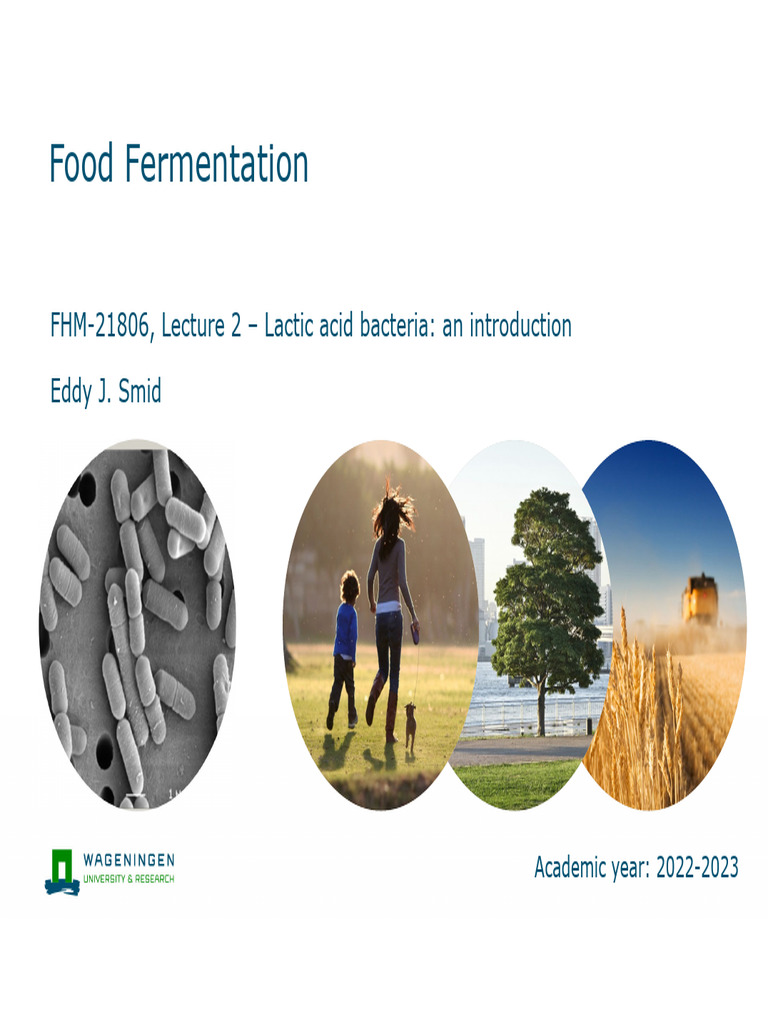 SMID Food Fermentation Lactic Acid Bacteria 2022 Notes | PDF ...