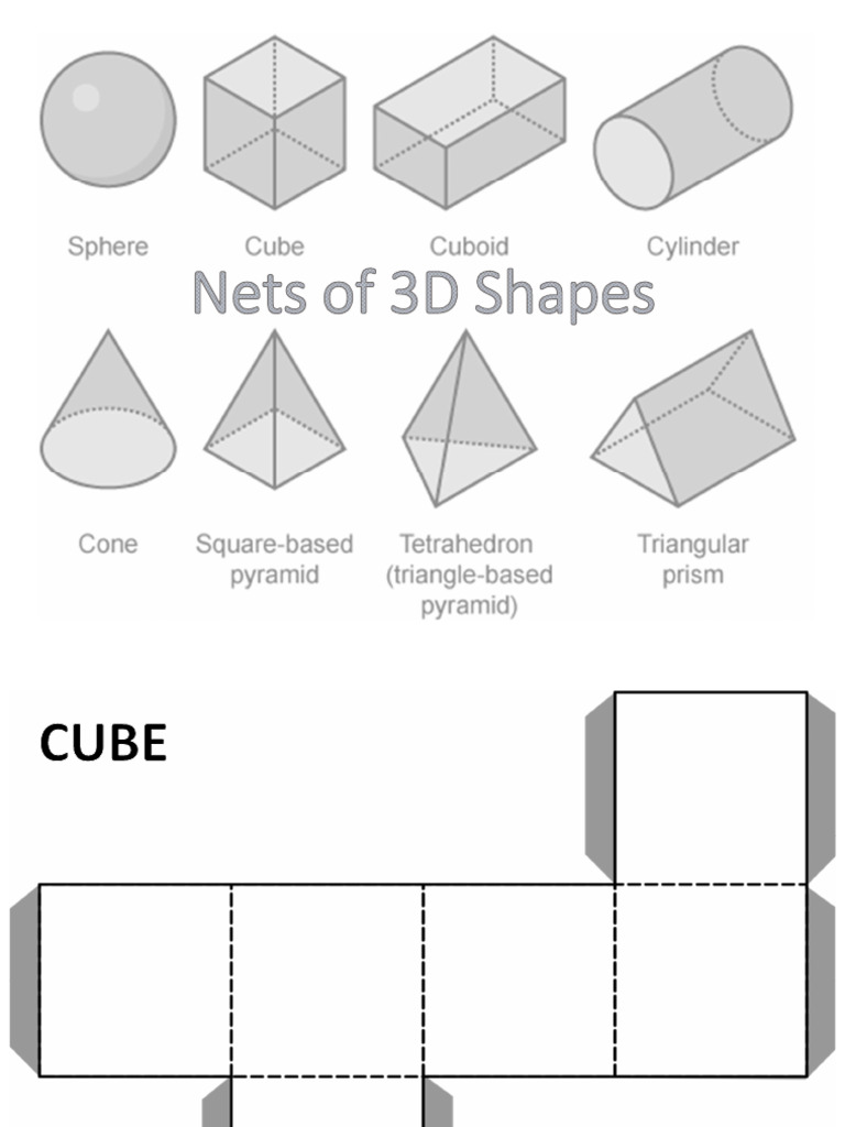 Nets of 3D Shapes | PDF